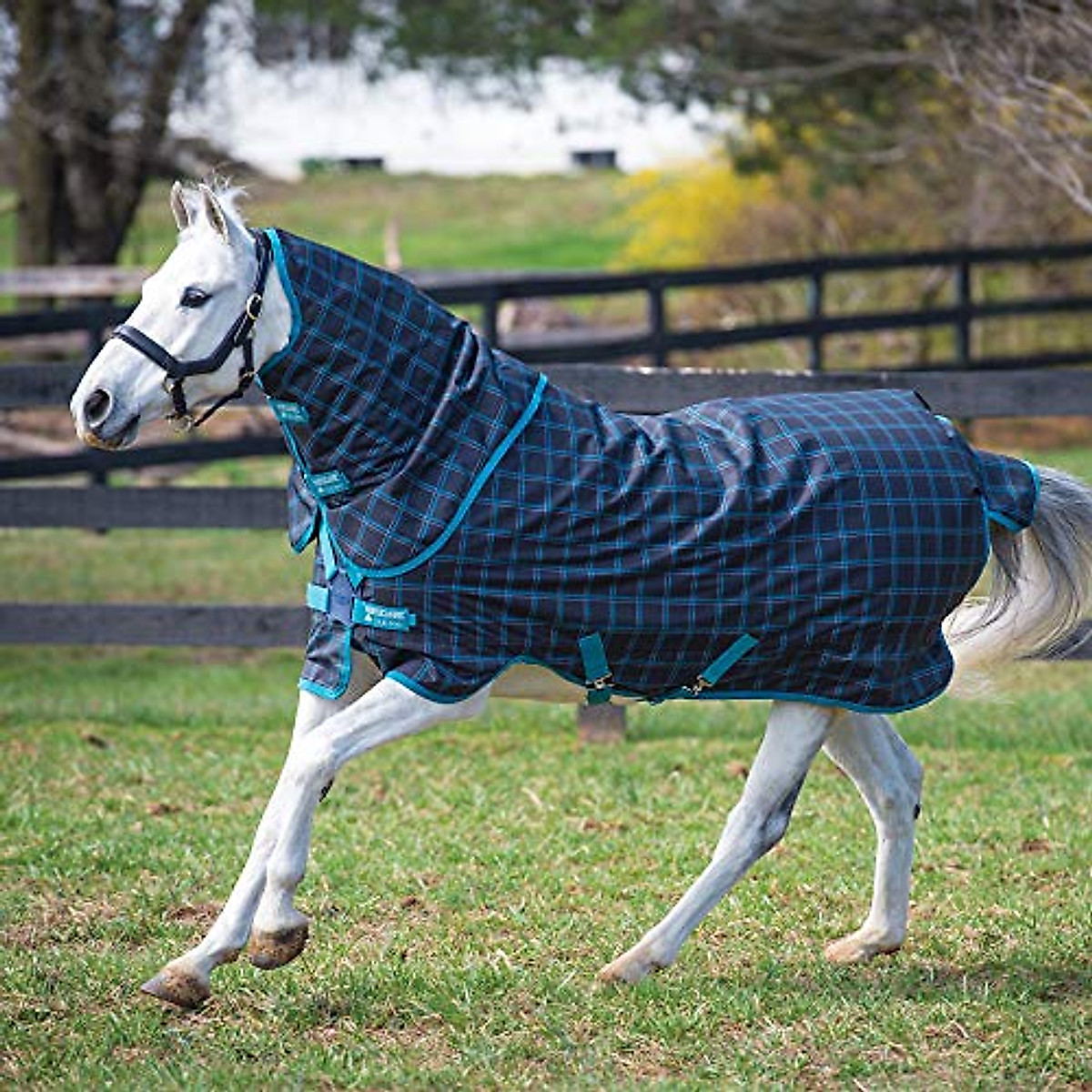 Horseware Ireland AKPP91-KCTI Amigo Pony Plus 50g Black Check/Teal 57