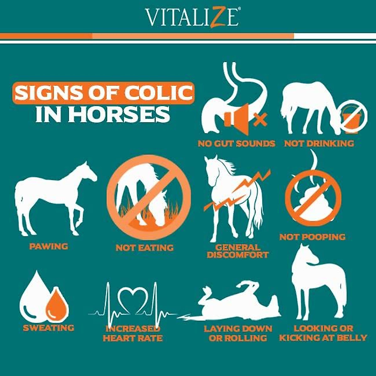 Alimend Stomach Support for Horses, 64 Fluid Ounce (1893 ml)