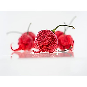 Pepper Joe’s Carolina Reaper Seeds – Pack of 10+ World’s Hottest Chili Pepper Seeds – USA Grown – Premium Non-GMO Carolina Reaper Seeds for Planting