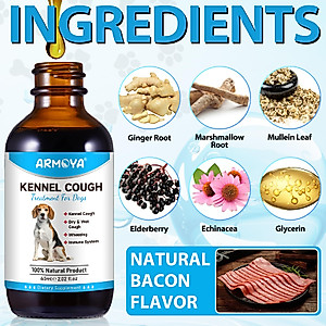 Dog Cough Treatmen - Kennel Cough for Dogs - Dog Allergy Relief - Natural Cough Supplement for Dogs - Herbal Drops for All Breeds & Sizes Natural Cough Supplement for Dogs