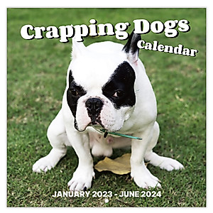 2023-2024 Wall Calendar – 18 Monthly Pooping Dogs Calendar 2023, Jan 2023 - Jun 2024, Funny Gag Gifts Dog Calendar, 11.8" x 23.6" (Open), 11.8" x 11.8"(Closed), Perfect White Elephant Gift Funny