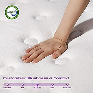 Sersper 12 Inch Memory Foam Hybrid Pillow Top Queen Mattress - 5-Zone Pocket Innersprings Motion Isolation -Heavier Coils for Durable Support -Medium Firm -Made in North America