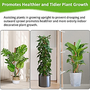 Sooenben Moss Poles for Climbing Plants Monstera, 24 inch Bendable Plant Stakes Indoor, Handmade Coco Coir Plant Support, Garden Trellis Plant Stick Stakes for Potted Plants Like Vine, Orchid, Pothos