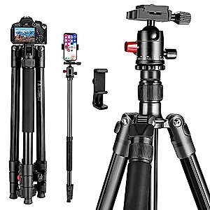 ZIKZOK Professional 62" DSLR Tripod Camera Tripods with Phone Holder for Travel, Super Lightweight and Reliable Stability, Ball Head Tripod Detachable Monopod with Carry Bag (Black)