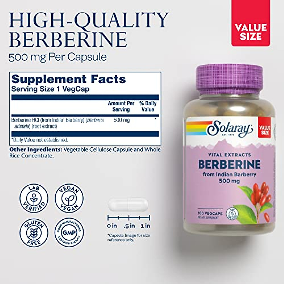 SOLARAY Berberine 500 mg from Indian Barberry Root, Berberine HCl Extract for Healthy Metabolism and Ketone Synthesis Support, AMPK Activator, 60 Day Guarantee