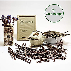 Apple Sticks 120 Gram Rabbit & Hamster Chew Toys - 100% Natural & Organic Chinchilla Food, Treats for Guinea Pig, Squirrels, Parrots & Other Small Animals (Made in Ukraine)