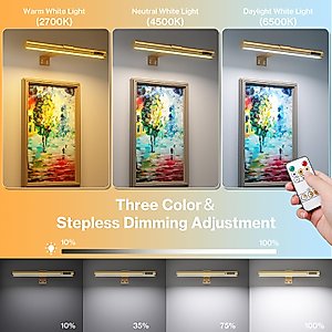 Olafus Picture Light Battery Operated with Remote, Rechargeable Wireless Wall Light, 3 Color Temperatures, Infinite Dimming and Timer, Cordless Art Frame Lighting, Gallery Painting Display Lamp Gold