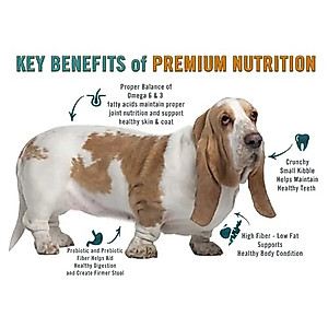 Chicken Soup for The Soul Classic Dry Adult Weight Care Dog Food, Brown Rice, Chicken & Turkey Recipe, 4.5 Pound Bag | Soy, Corn & Wheat Free, Low Calorie Dog Food Made with Real Ingredients