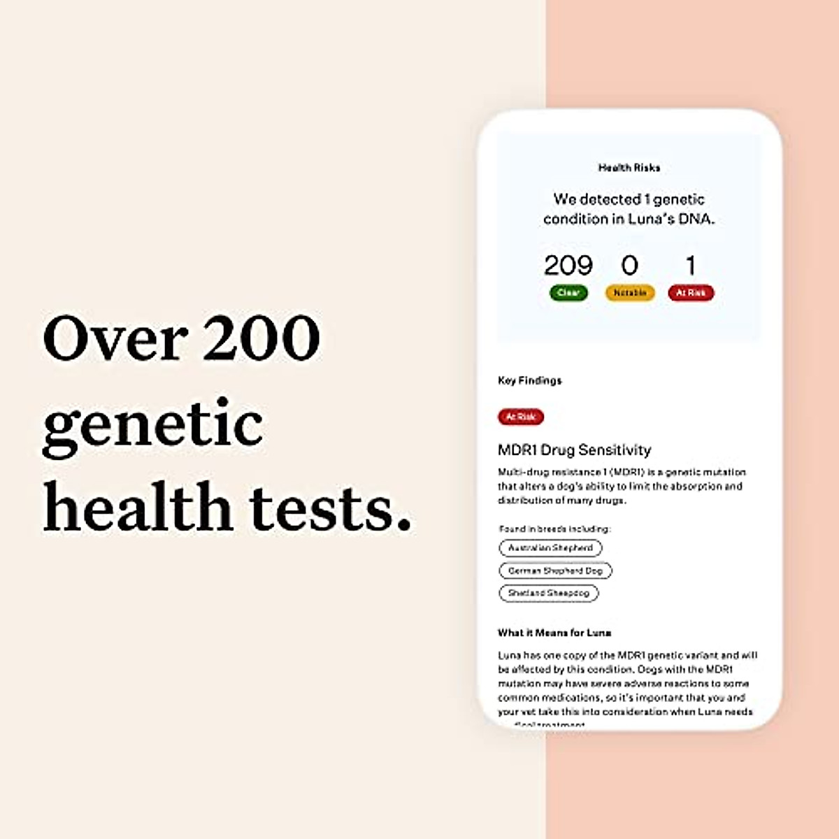 Wisdom Panel Premium: Most Comprehensive Dog DNA Test for 200+ Health Tests | Accurate Breed ID and Ancestry | Traits | Relatives | Genetic Diversity | Vet Consult | 1 Pack