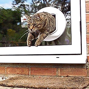 SureFlap Dual Scan Microchip Cat Flap, White