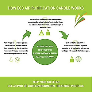 EC3 Air Purification Candle, Natural, Botanical Ingredients in Soy Wax