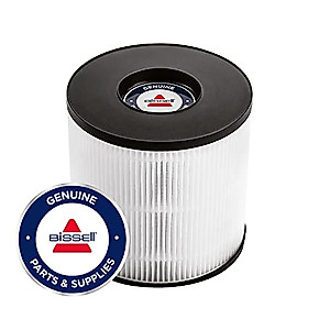 BISSELL® MYair™ Pro Replacement HEPA and Carbon Filter, 3069