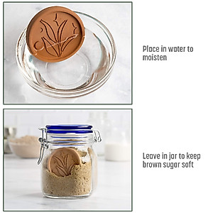 Goodful Brown Sugar Saver and Softener Disc with Elegant Leaf Design, Multiple Uses for Food Storage Containers, Reusable and Food Safe, Terracotta, 2 Pack