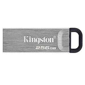 Kingston 256GB USB Flash Drive Kyson DataTraveler (Bulk 2 Pack) USB 3.2 Type-A Drive 200MB/s High Speed PenDrive for Computer or Laptop (DTKN/256GB) Bundle with (1) Everything But Stromboli Lanyard