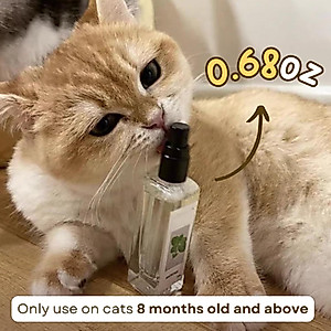 Kitty Joy Herbal Cat Joy, Cat Cupid Spray, Cuddles and Meow Cat Cupid Spray, Cat Cupid Spray Joy Cat, Celery Pets Herbal Cat Joy, Indoor Cat Training Spray with Catnip, Anti Scratch Cat Spray (3PCS)