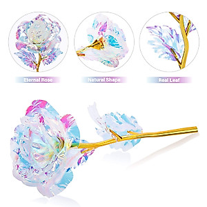 AUGOLA for Her Galaxy Rose, Forever Rose in Glass Dome Rainbow, Unique Love Flower Gifts for Her, Girlfriend, Wife, Mom, Grandma, Women Gifts for Valentines Birthday Mother's Day