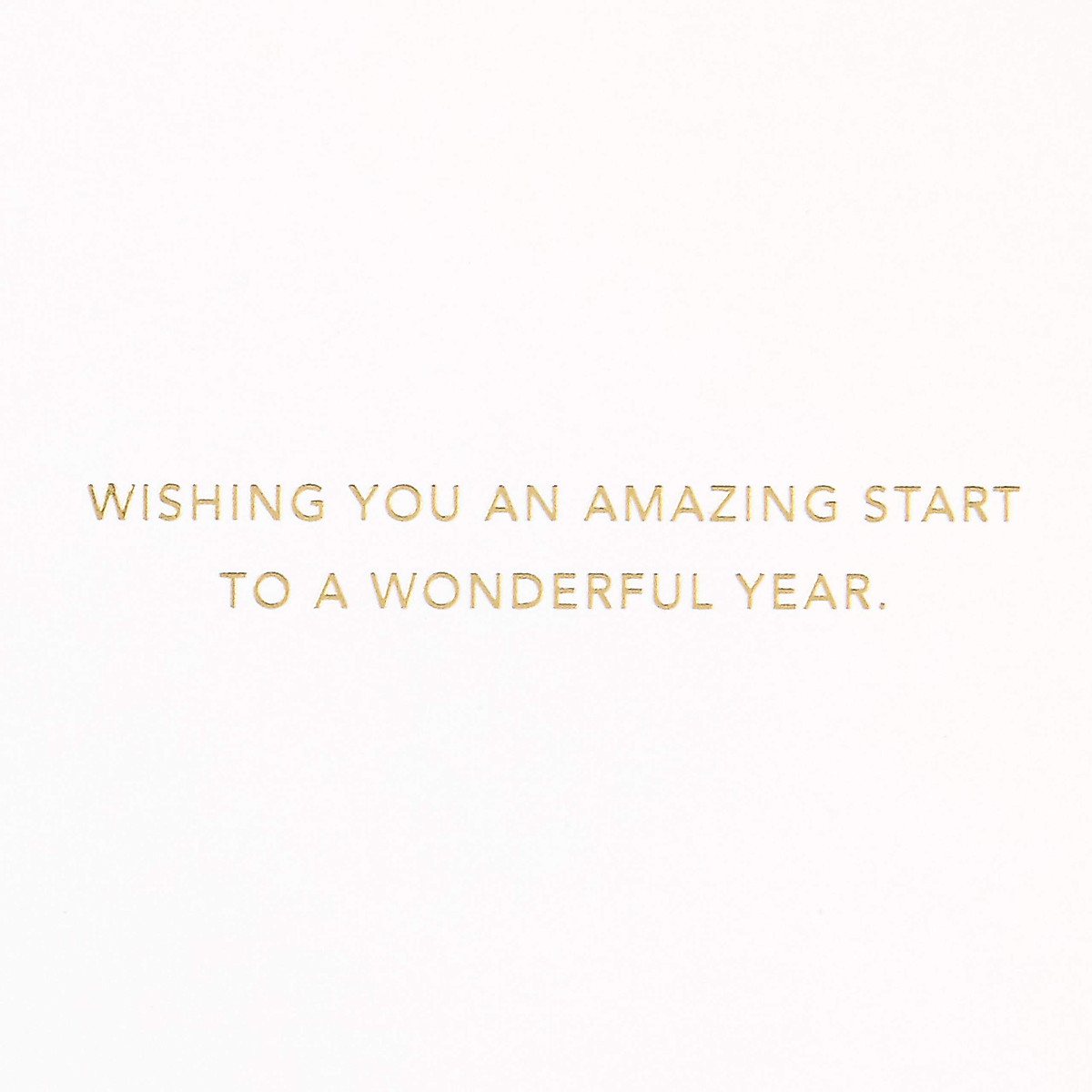 Hallmark Signature Birthday Card (Wonderful Year)