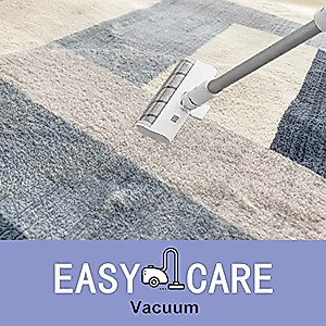 MIIUJJIR Modern Area Rug -3’ X 5’ Faux Wool Non-Slip Washable Accent Area Rug, Soft Fuzzy Throw Rug Floor Carpet for Living Room Bedrooms Laundry Dining Room Home Decor, Blue&White
