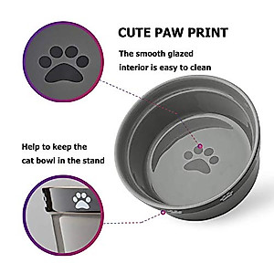 Y YHY Raised Dog Cat Bowls, Elevated Dog Cat Bowls 24oz, Ceramic Dog Cat Bowls for Food and Water, Pet Bowls for Cats and Small Dogs, Prevent Neck Pain, Anti Slip Feet, Grey