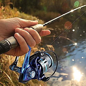 Cadence CR7 Spinning Rod and Primo Spinning Reel