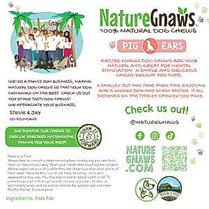 Nature Gnaws Pig Ears for Dogs (15 Count) - Thick Long Lasting for Aggressive Chewers and Large Dogs - Natural Pork Dog Chew Bones - Rawhide Free