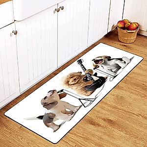 TsyTma Funny Beagle Dogs Band Kitchen Rug Non-Slip Decor Absorbent Watercolor Pet Kitchen Floor Mat Bathroom Rug Waterproof Runner Rug 39"x20"
