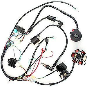 Quad Wire Harness Complete Electrics Stator Coil CDI Wiring Harness Solenoid Relay Spark Plug for 4 Wheelers Stroke ATV 50cc 70cc 90cc 110cc 125cc Pit Quad Dirt Buggy Bike Go Kart Parts
