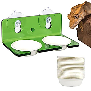 WOLEDOE Crested Gecko Feeding Ledge with 20Pcs 1oz Biodegradable Bowls, Reptile Food Cups and Water Dish