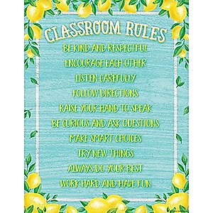 Teacher Created Resources Lemon Zest Classroom Rules Chart