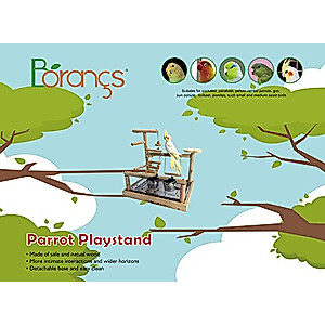 Borangs Parrots Playstand Bird Playground Wood Perch Training Stand Cockatiel Playpen Ladders Birds Swing Wood Gym Tabletop with Feeder Cups Toys Exercise Play(Design B)