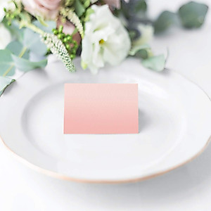 Andaz Press Blush Pink Rose Elegant Party Collection, Blank Place Cards, 20-Pack, Placecards Food Dessert Table Tent Favors Decor