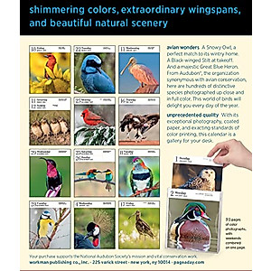 Audubon Birds Page-A-Day Gallery Calendar 2023: Hundreds of Birds, Expertly Captured by Top Nature Photographers