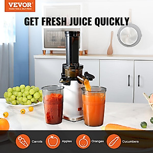 VEVOR Masticating Juicer, Cold Press Juicer Machine, Juice Extractor Maker with High Juice Yield, Easy to Clean with Brush, for High Nutrient Fruits Vegetables (Mini)