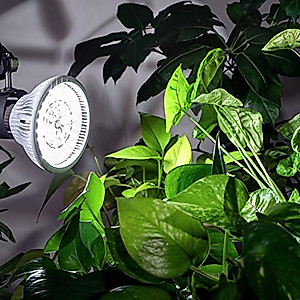 HAUS BRIGHT Smart LED Grow Light Bulb - Dimmable Warm, Cool & Daylight | Schedule & Timer | Full Spectrum Grow Lights Indoor Plants | Grow Lamp | E26/27 | 20W with 288 PPFD