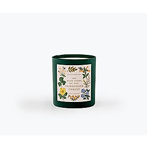 Rifle Paper Co. Candle Set for Festive Occasions and Gatherings with Decorative Box and Festive Labels On Soy Candle Base, 40+ Hour Burn Time, The Souks of Marrakech and High Peaks of The Adirondack