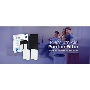 Fette Filter - True HEPA H13 Filter R Compatible with Honeywell Purifier HPA200 HPA200C HPA201 HA202 HPA204 HPA204C HPA250 HPA250B HPA250BC HPA3200 HPA5200 Series # HRF-ARVP200 Filter R PreFilter A