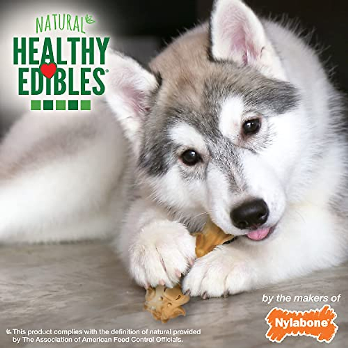 Nylabone Healthy Edibles All-Natural Puppy Chew Treats for Large Breed Puppies Lamb & Apple Medium 2 Count (Pack of 1)