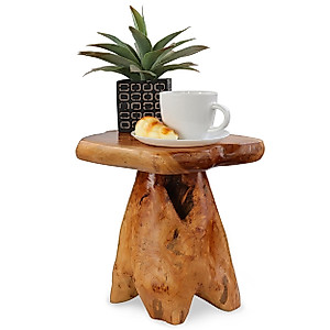 Creekview Home Emporium Tree Stump End Table - 14 Inch Natural Fir Wood Side Table - Rustic Bedside Nightstand - Decorative Stool Plant Stand for Cabin Furniture - Log Plant Stand for Outdoor Garden