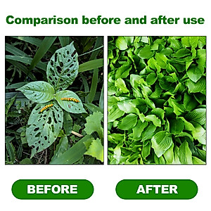 Insect Bird Barrier Mesh, Garden Netting Barrier, Bird Netting, Netting for Plant with Drawstring, 3.5 x 4.6 FT Tomato Protective Cover, Large Potted Fruit Protectors Cover for Blueberry Bushes