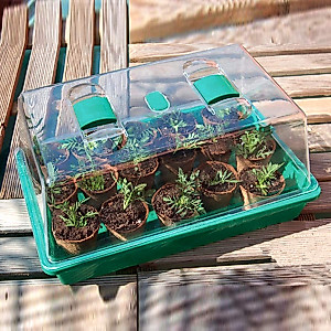Propagator with Humidity Vents Domes,Heavy Duty Growing Tray Mini Greenhouse for Seedlings,Clones