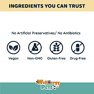 Holistic All-Natural Herb Formula Skin & Coat Support for Dogs & Cats - Aid for Dry, Flaky, Itchy Skin, Hot Spot, Allergies. Provides Anti-Itch, Anti-inflammatory Relief - WellnergyPets Coat Care 60ct