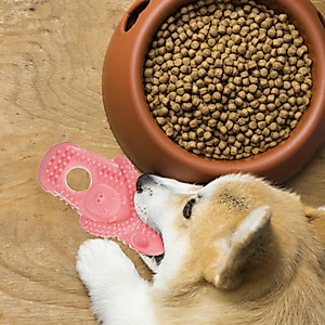 POPETPOP Dog Chew Slipper Shoe Shaped for Teething Puppies Molar Teeth Cleaning Chew Activity