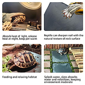 INOSCIND 15.7“ × 11.8" Reptile Basking Platform,Slate for Tortoise,Turtle Feeding Slate,Habitat Decor Accessories Basking Rocks for Bearded Dragons Chameleon Snake Frog Lizard Gecko Bowl