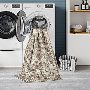 Rugland Area Rug - Stain Resistant Washable Rug, Anti Slip Backing Rugs for Living Room, Vintage Tribal Area Rugs (TPR07-Ivory, 9'x12')