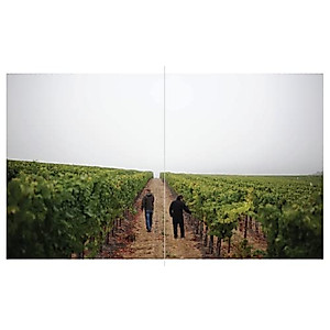 The New California Wine: A Guide to the Producers and Wines Behind a Revolution in Taste