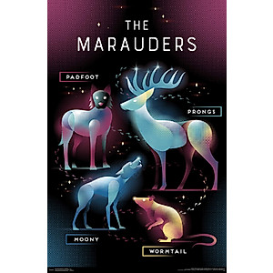 Trends International Neon-Harry Potter-Marauders Wall Poster, 22.375 in x 34 in, Unframed Version