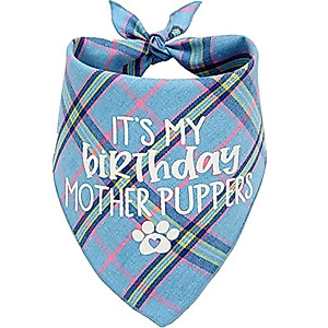 Dog Birthday Bandana, Birthday Boy Puppy Bandana for Small Medium Large Dogs Blue