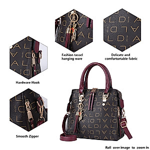 Qiayime Womens Fashion Purses and Handbags PU Tassel Leather Top Handle Satchel Shoulder Tote Crossbody Bags for Women (Red wine)