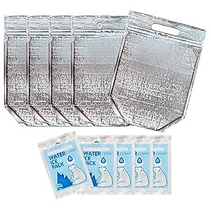 Insulated Lunch Bag with Zip Lock & Handle, Reusable Cool & Thermal Bags, Cooler Pouch, Hot & Cold, Ideal for Sandwich, Snack, Drink, Grocery, Camping (Medium_5 bags 9.8 x 11.0 inches + 5 Ice packs)