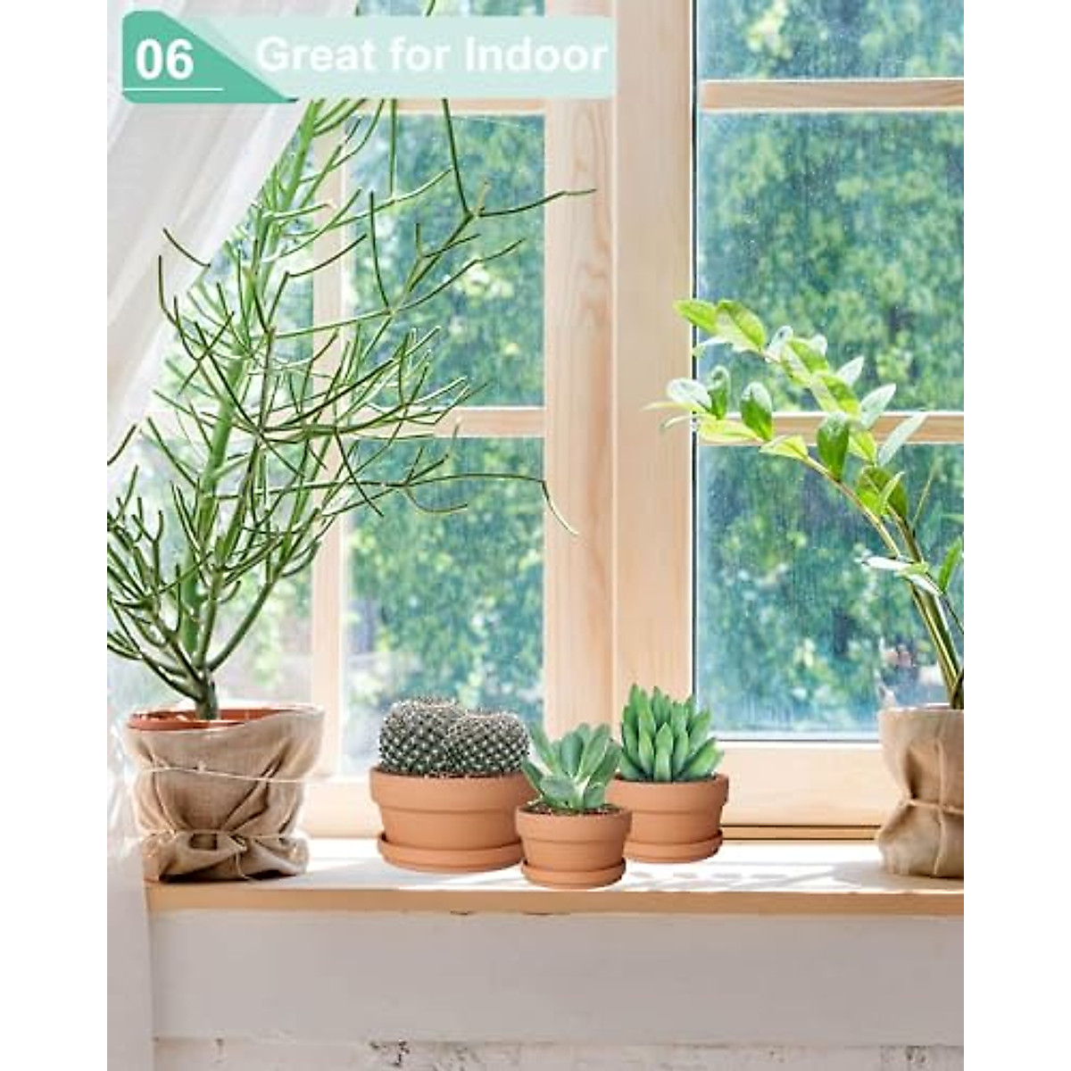 vensovo 5.7 Inch Terracotta Shallow Succulent Pot - 6 Pack Terra Cotta Clay Pots with Saucer, Cacuts Terra-Cotta Indoor and Outdoor Planters with Drainage Hole